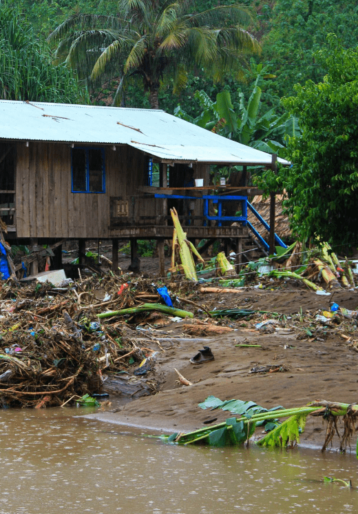 Local insights into social resilience and climate change in Solomon ...