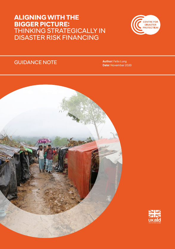 Aligning with the bigger picture: Thinking strategically in disaster ...