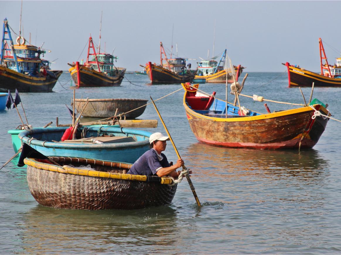Small-scale fisheries offer strategies for resilience | PreventionWeb