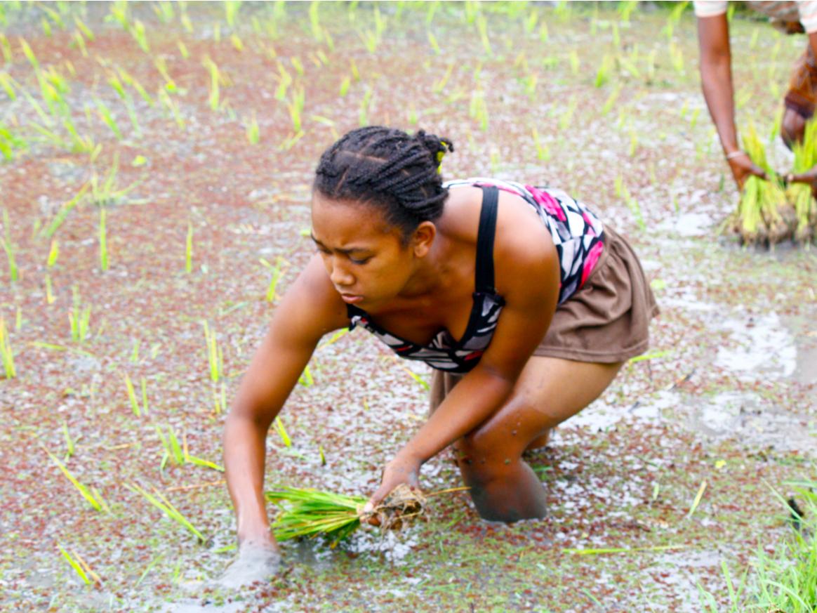 Madagascar: government, UN sound the alarm on famine risk | PreventionWeb Madagascar: government, UN sound the alarm on famine risk | PreventionWeb