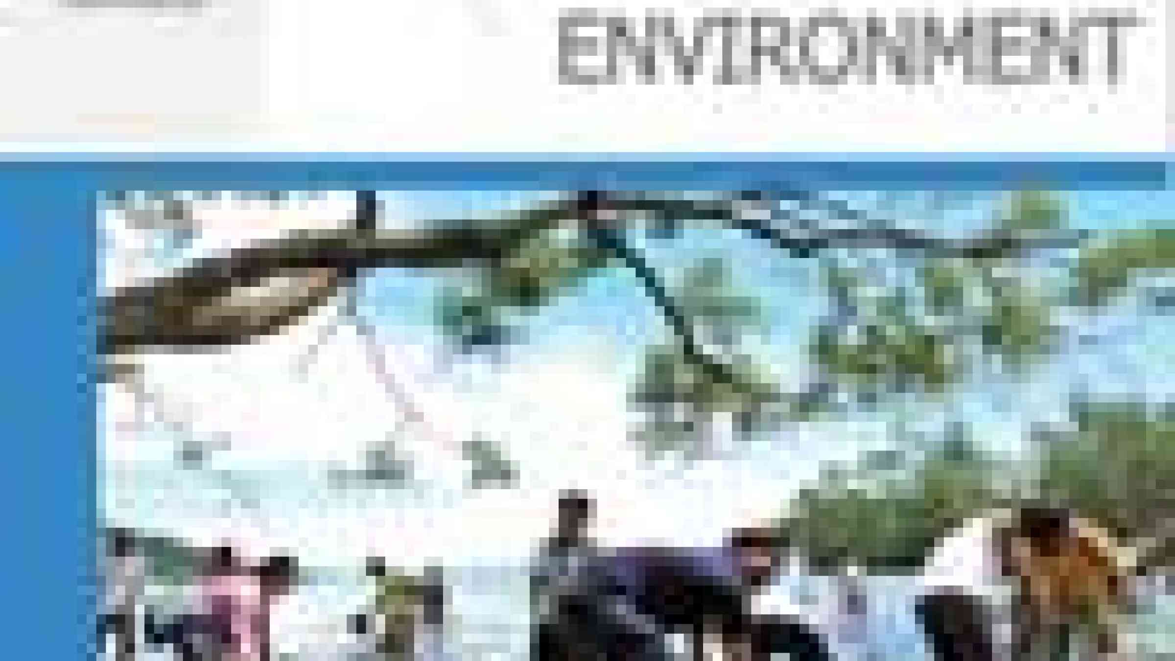 Guidance note on recovery: environment | PreventionWeb