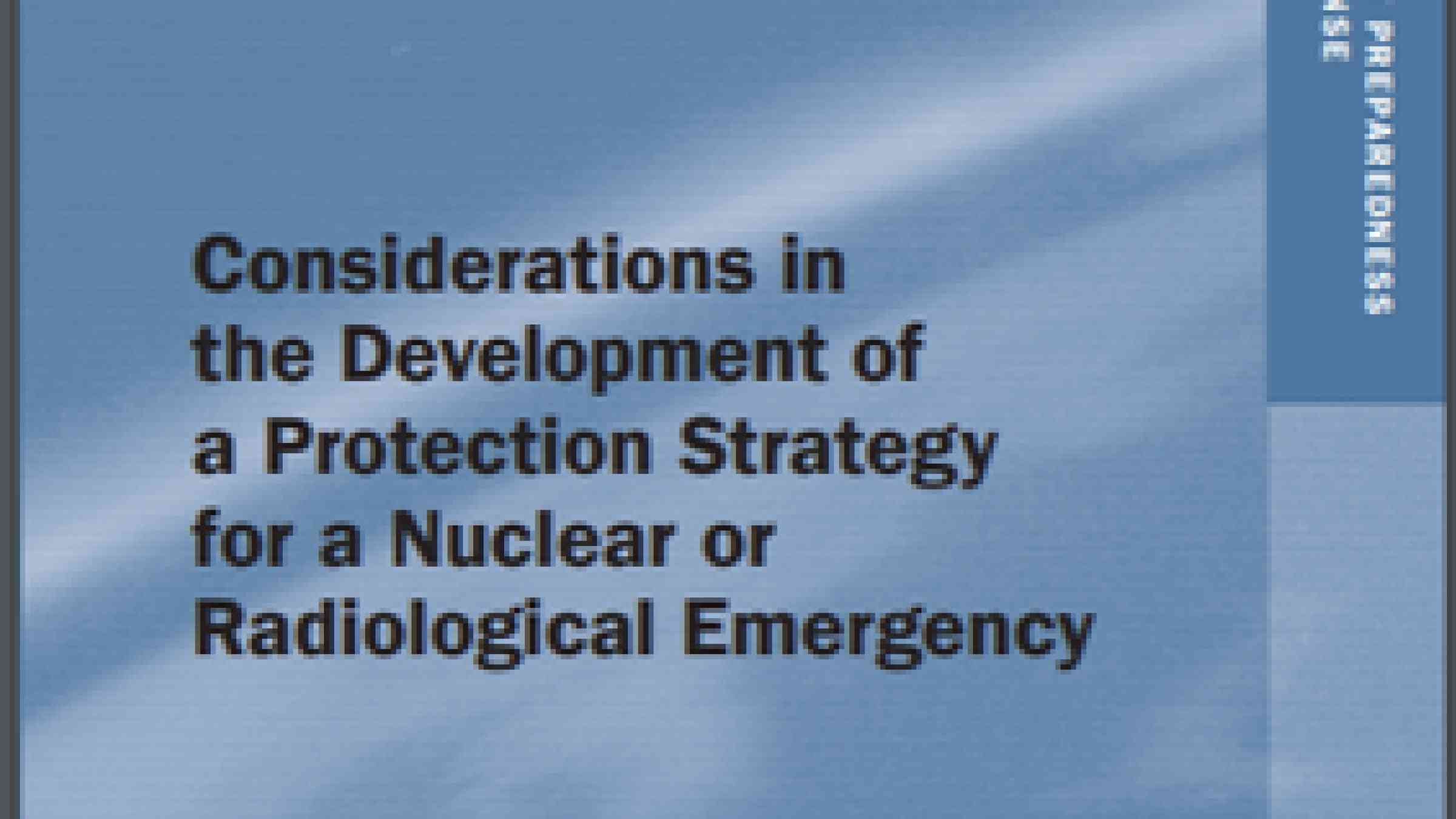 Considerations in the development of a protection strategy for a ...