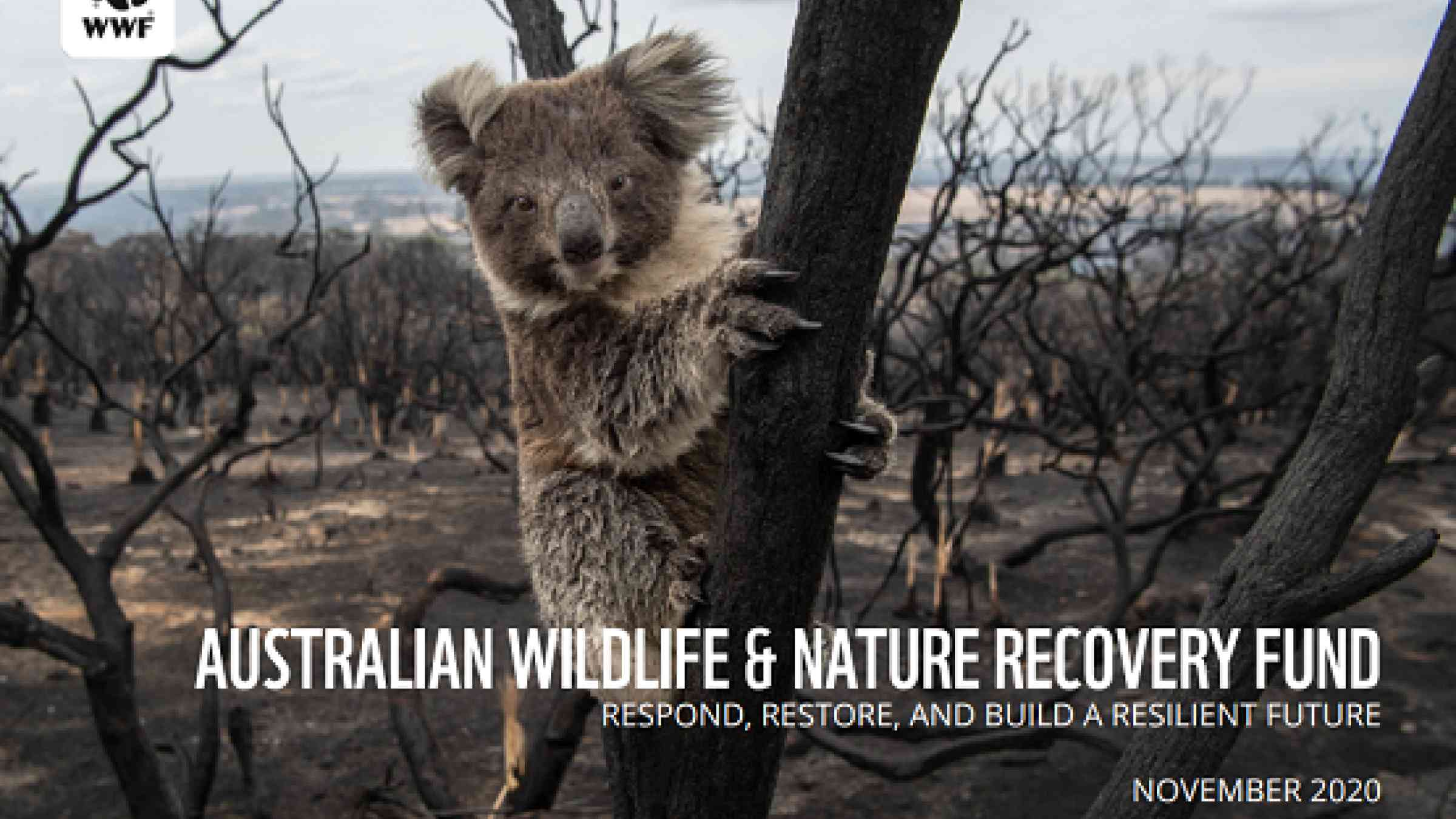 Australian Wildlife and Nature Recovery Fund: Respond, Restore, and ...