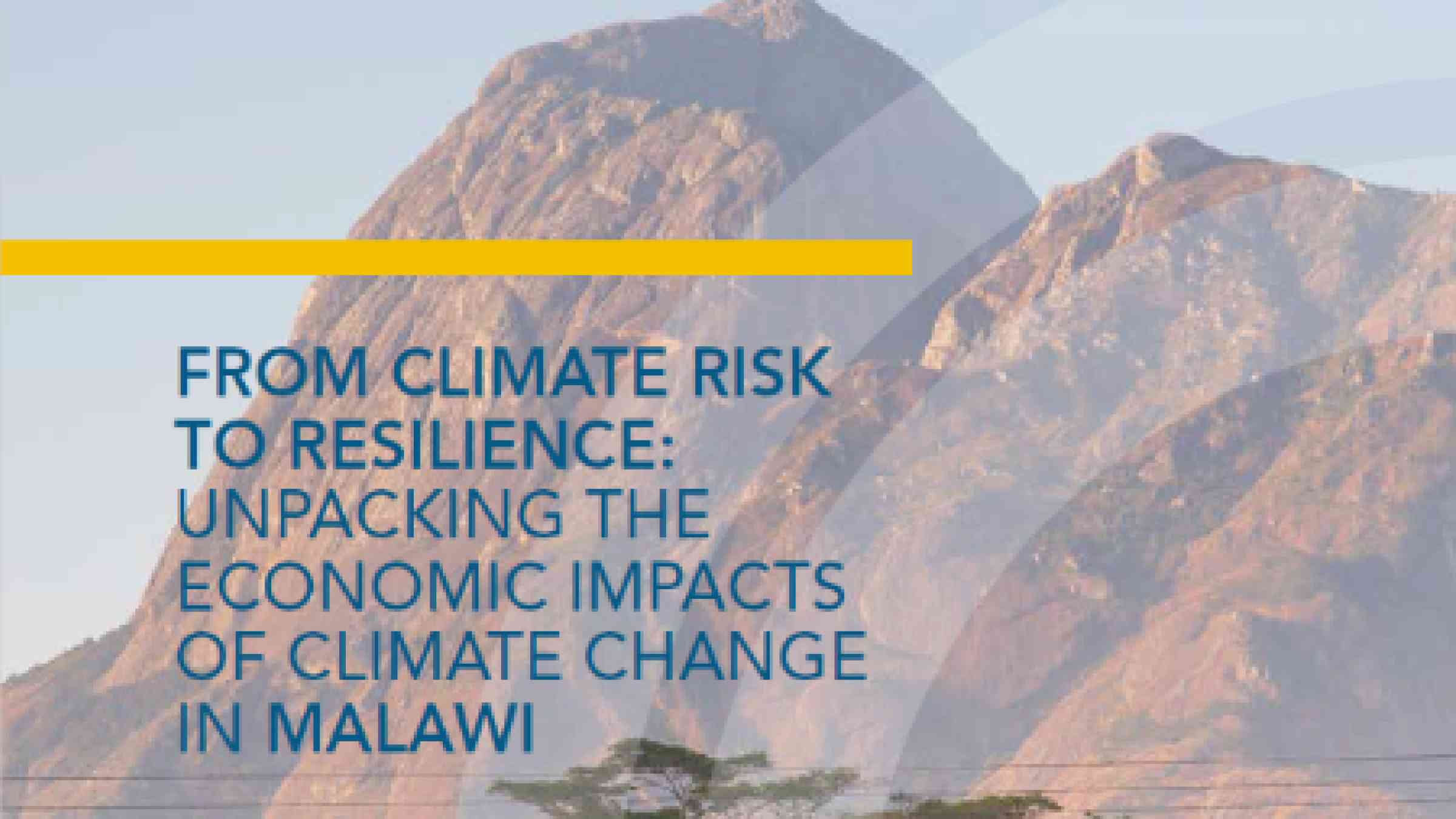 From climate risk to resilience: Unpacking the economic impacts of ...