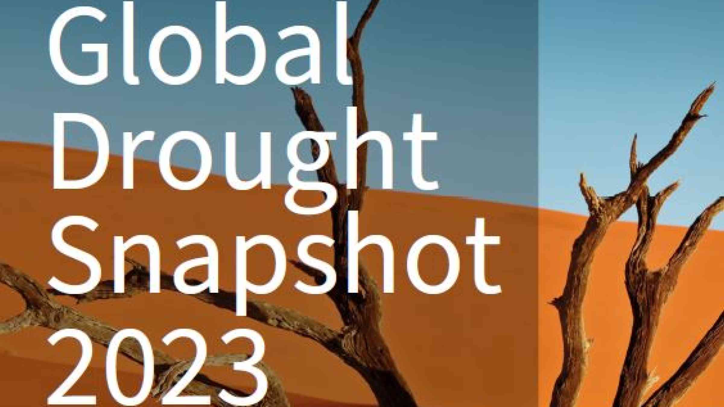 Global drought snapshot 2023: The need for immediate action | PreventionWeb