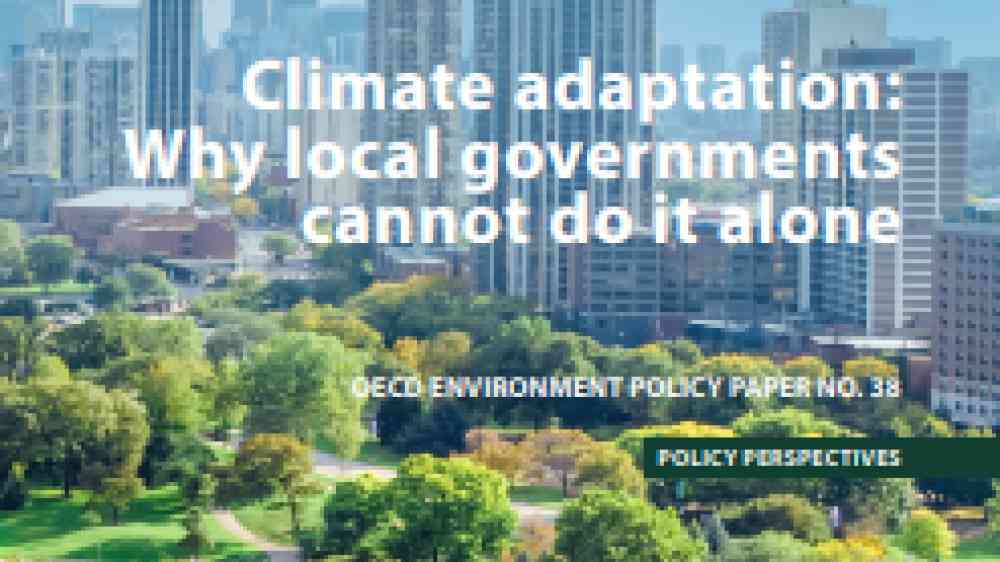Climate adaptation: Why local governments cannot do it alone ...