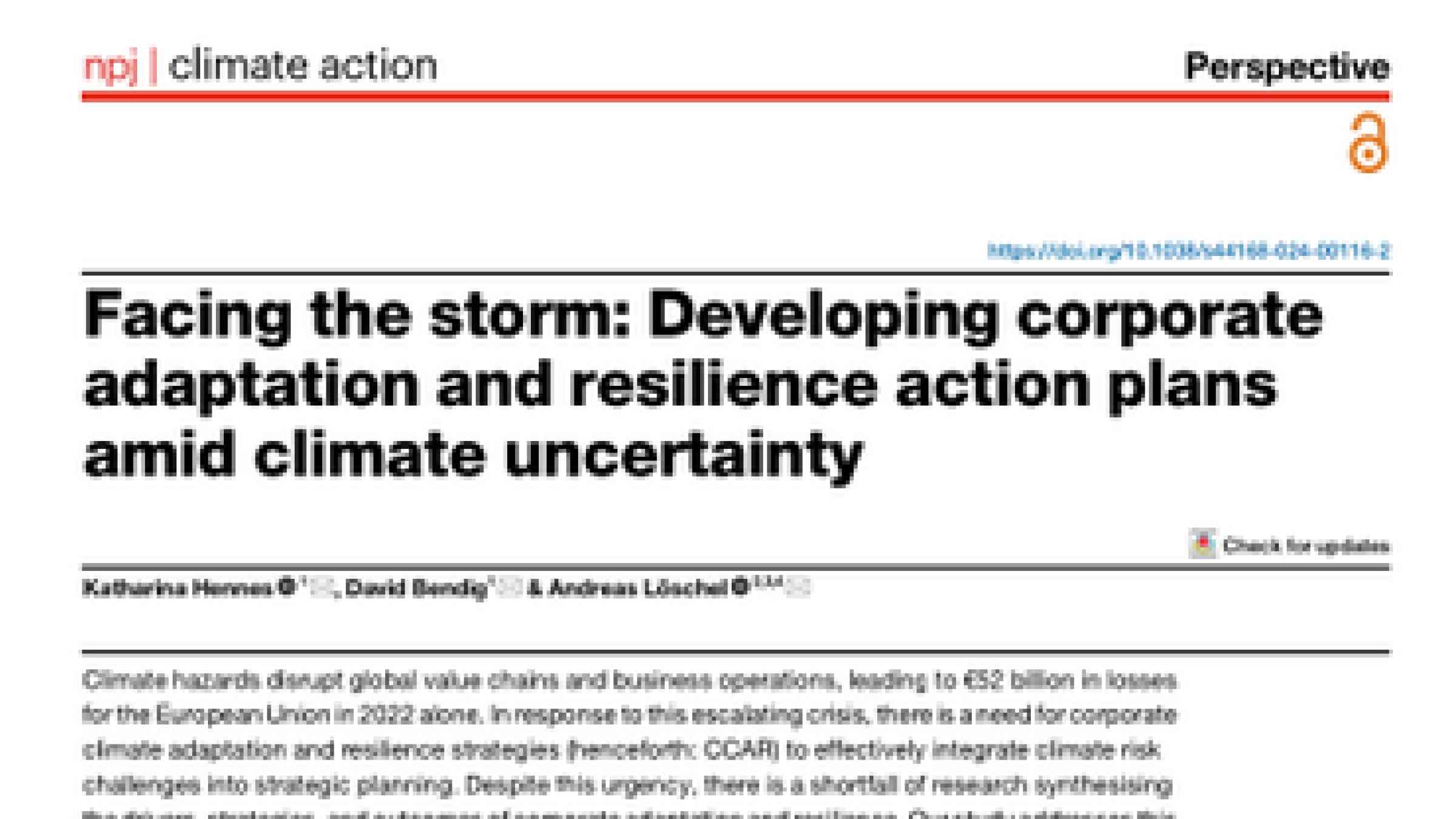 Facing the storm: Developing corporate adaptation and resilience action ...