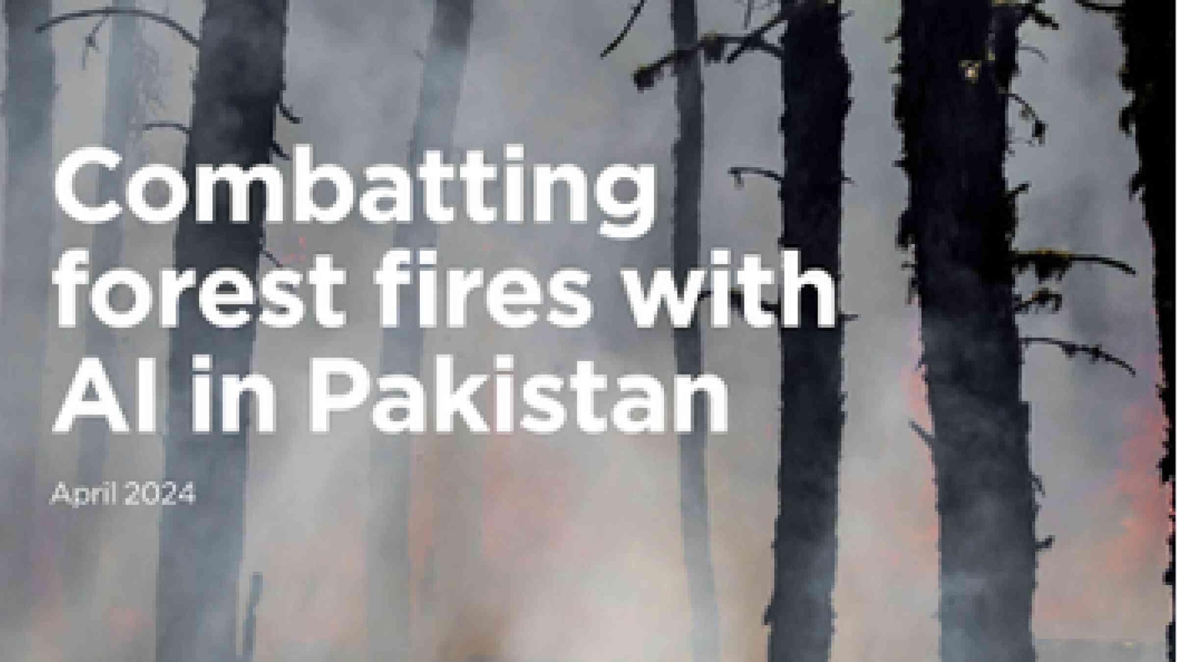 Combatting forest fires with AI in Pakistan | PreventionWeb