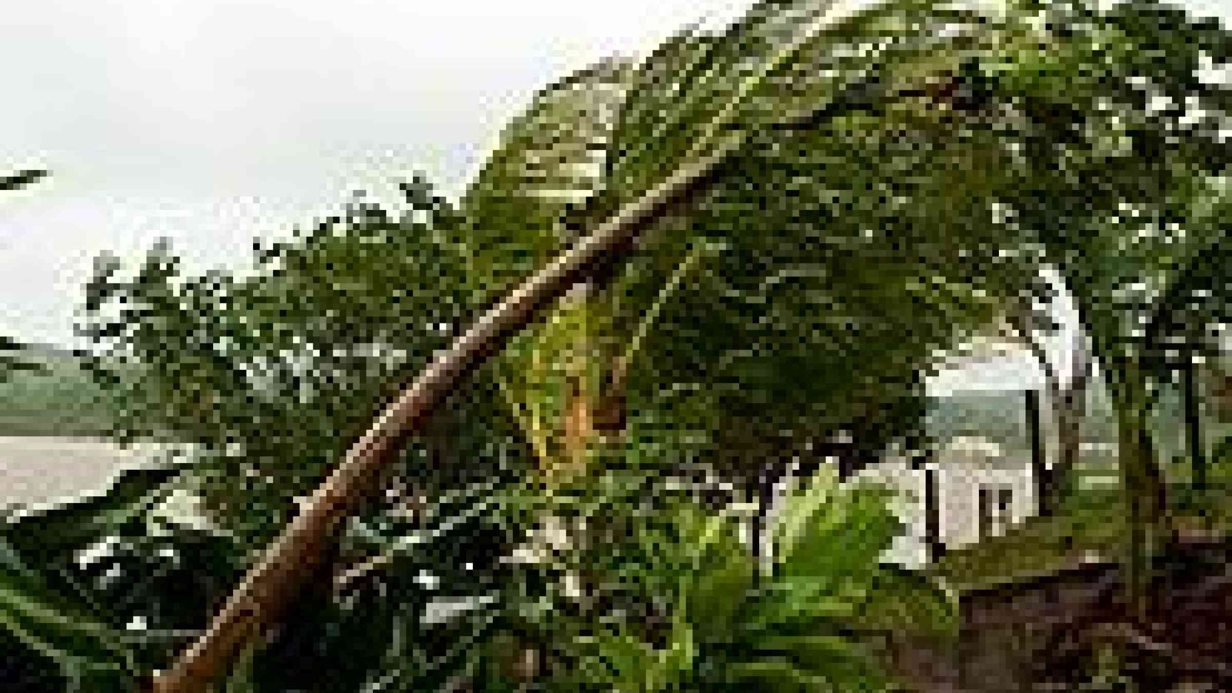 Central America slowly learning value of disaster prevention ...