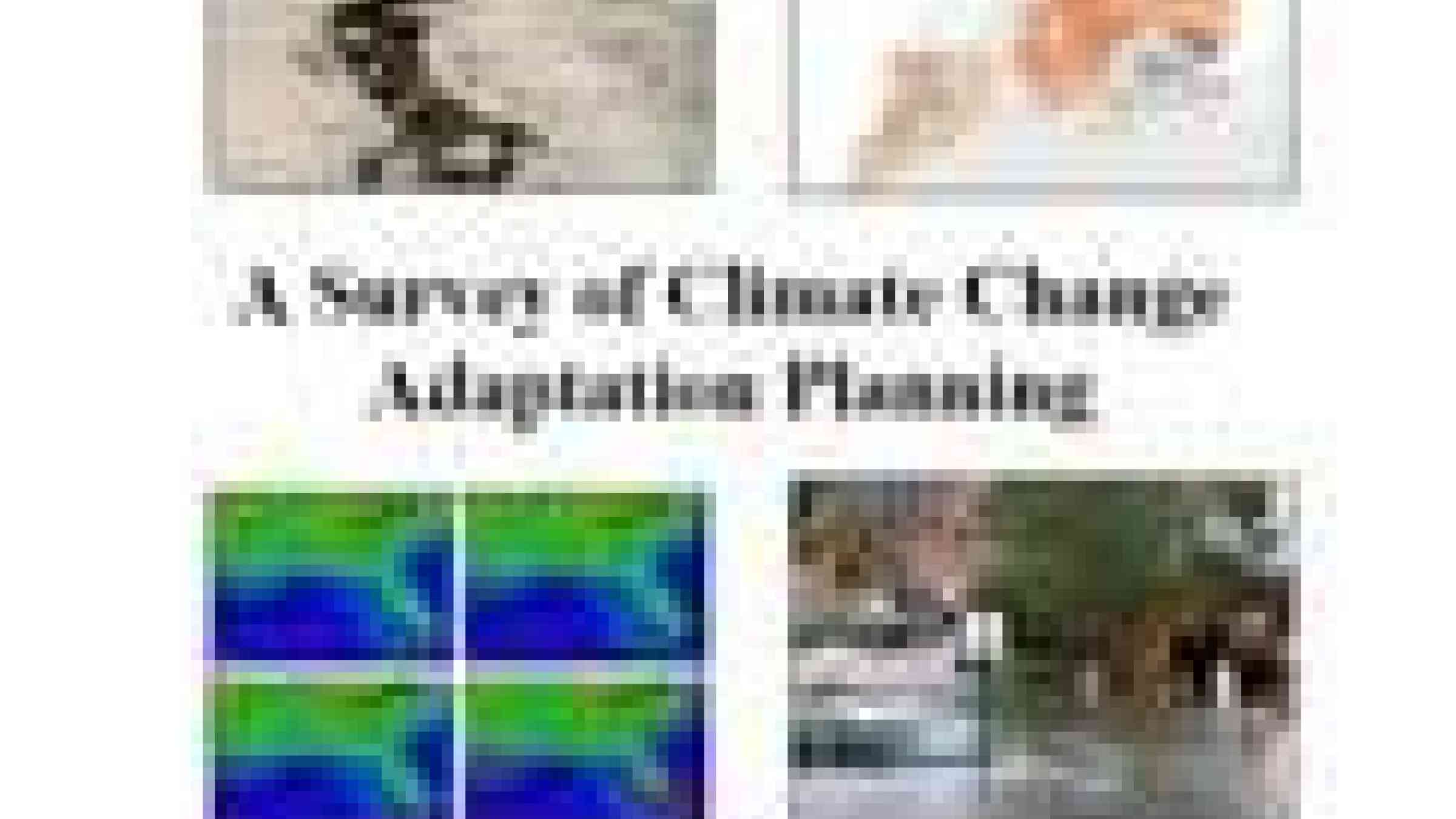 A survey of climate change adaptation planning | PreventionWeb