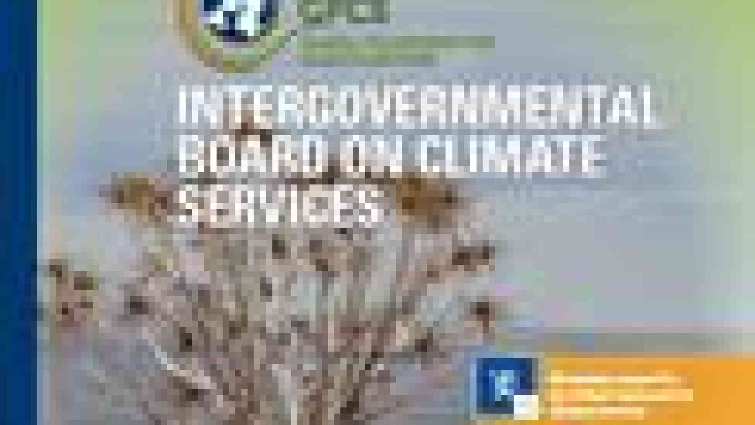 Reducing and managing risks of disasters in a changing climate ...