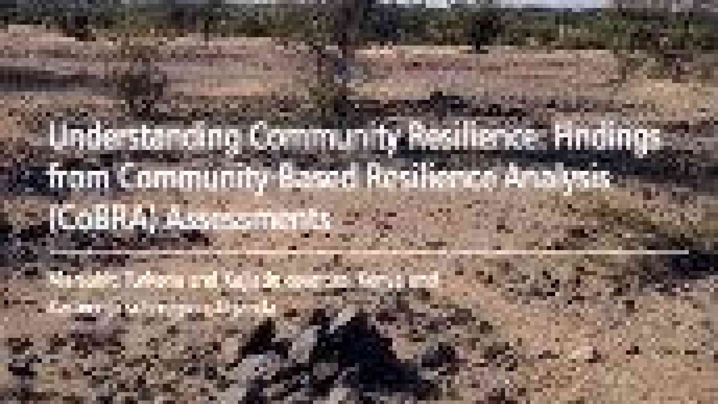 Understanding community resilience: Findings from community-based ...