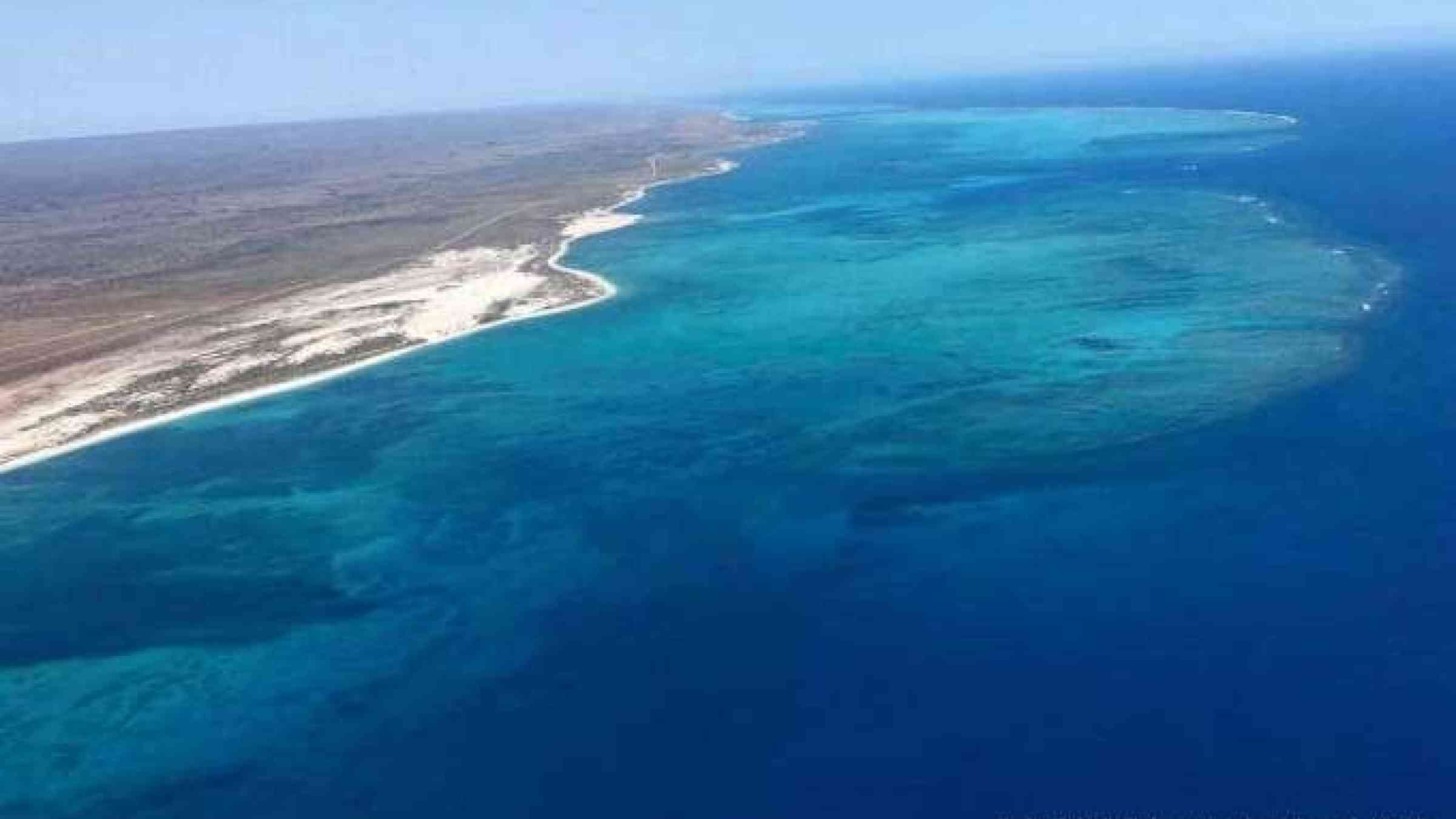 Coral reefs protect coasts from severe storms | PreventionWeb