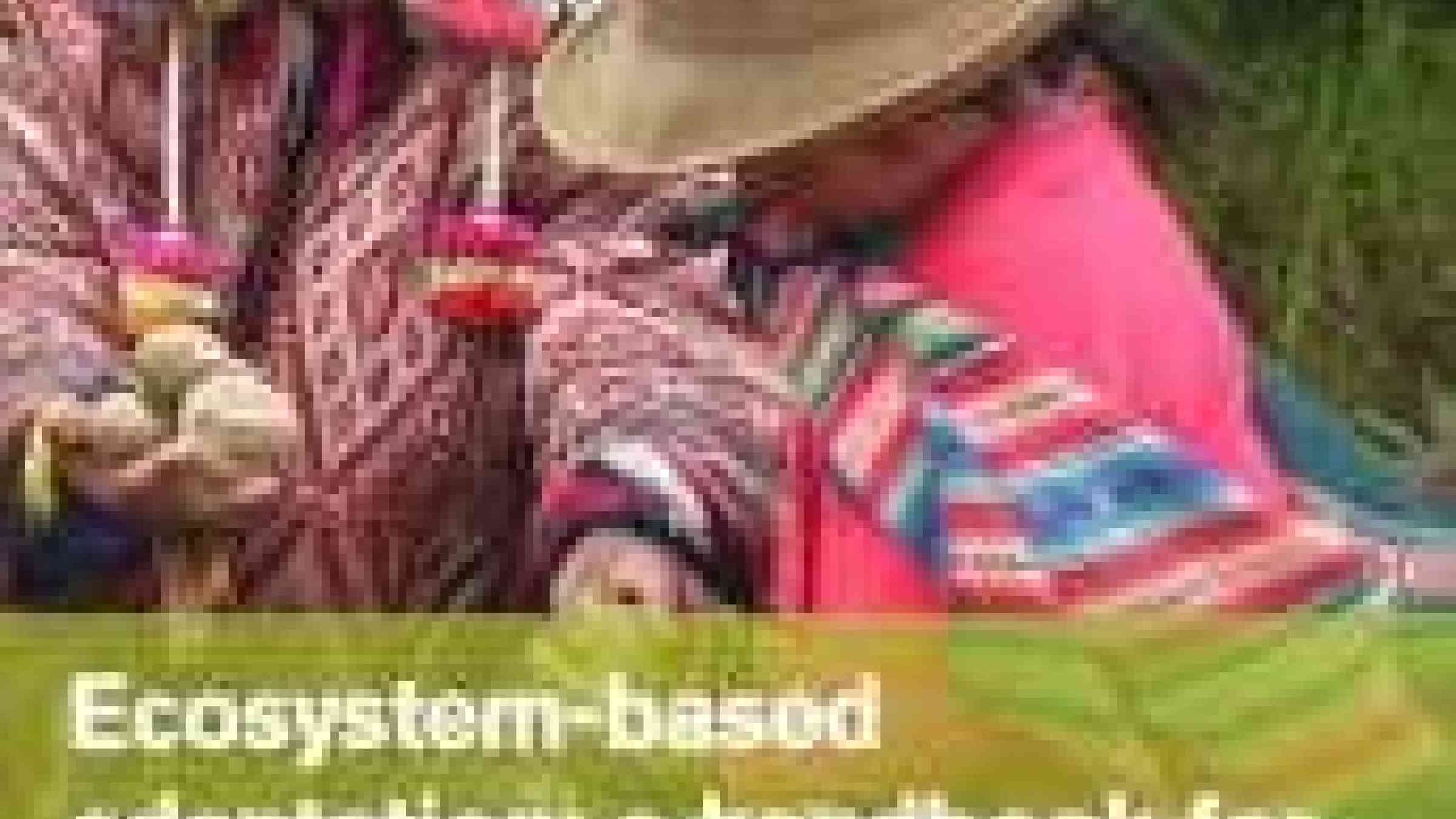 Ecosystem-based adaptation: A handbook for EbA in mountain, dryland and ... Ecosystem-based adaptation: A handbook for EbA in mountain, dryland and ...