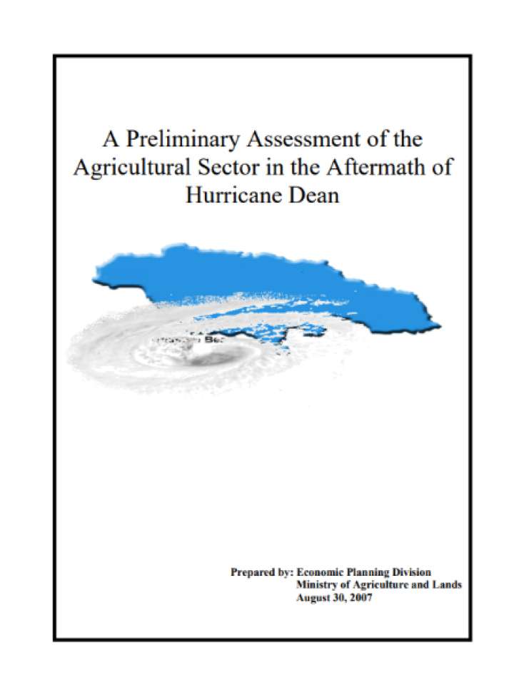 A preliminary assessment of the agricultural sector in the aftermath of ...
