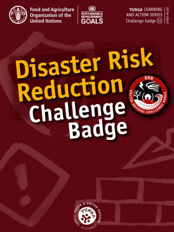 Disaster risk reduction challenge badge | PreventionWeb
