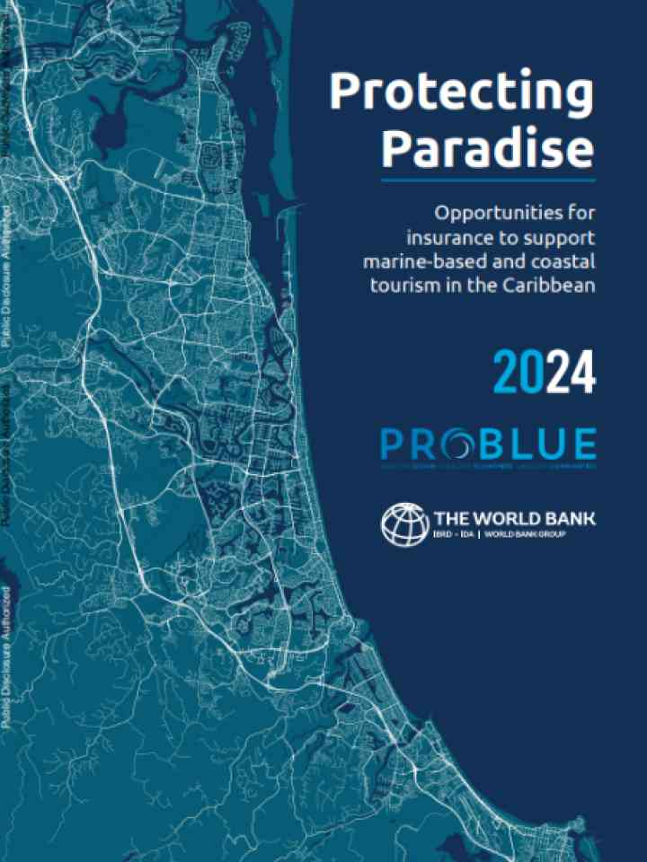 Protecting paradise: Opportunities for insurance to support marine ...