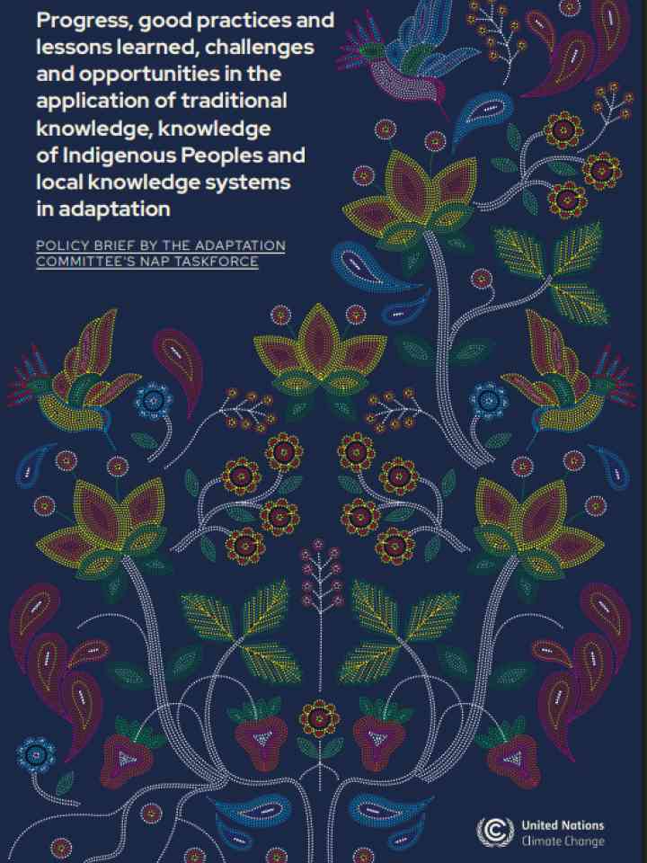 Progress, good practices and lessons learned, challenges and ...