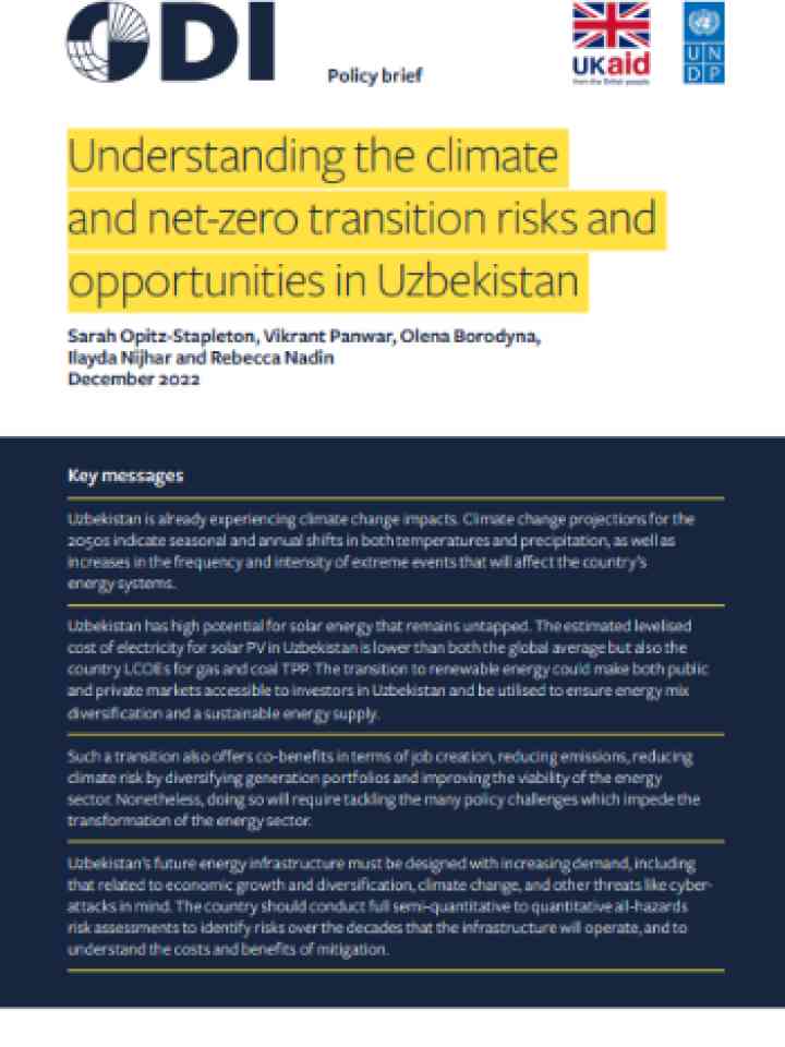 Understanding the climate and net-zero transition risks and ...