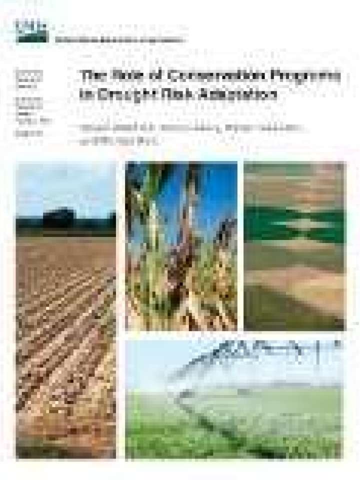 The role of conservation programs in drought risk adaptation ...