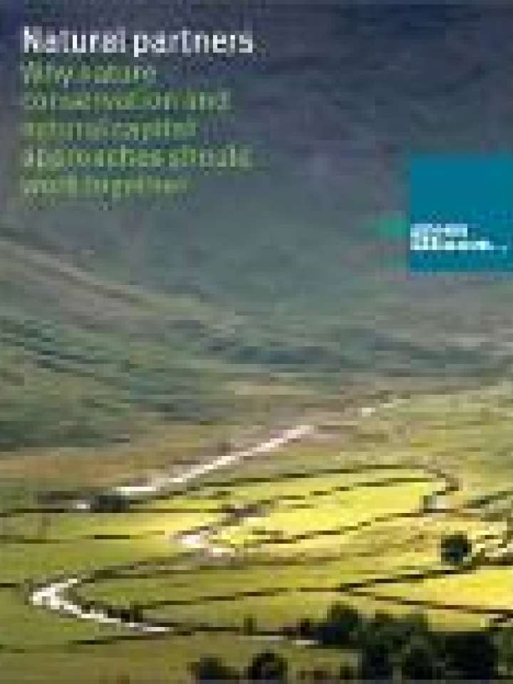 Natural partners: why nature conservation and natural capital partners ...