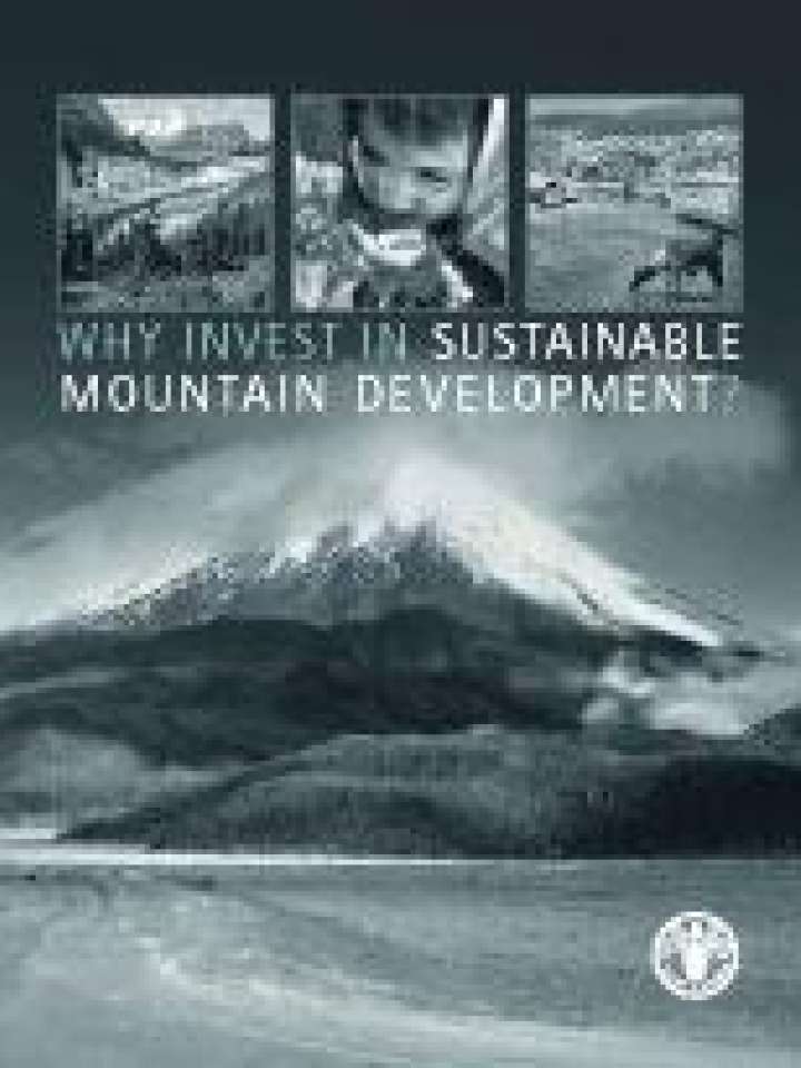 Why invest in sustainable mountain development? | PreventionWeb