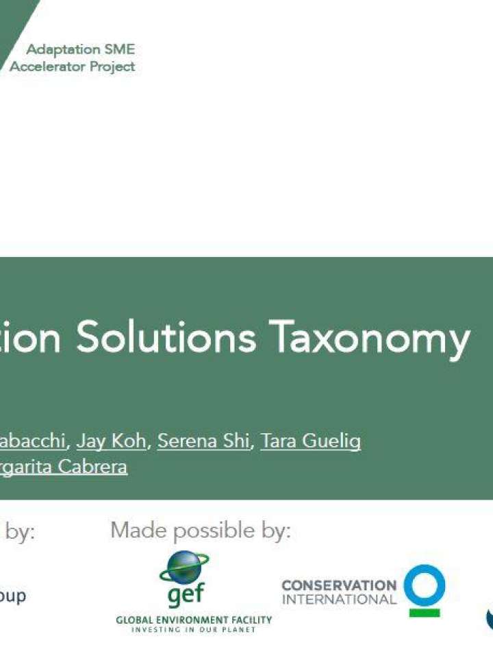 The Lightsmith Group | PreventionWeb
