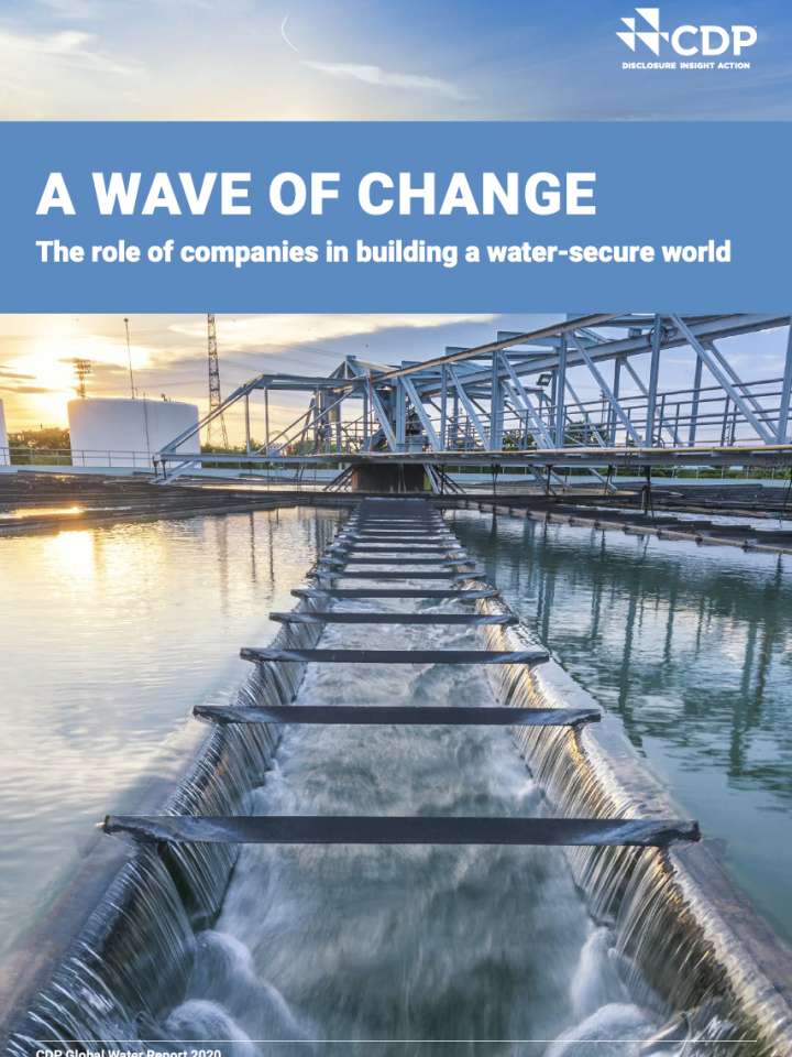 A wave of change: The role of companies in building a water-secure ...