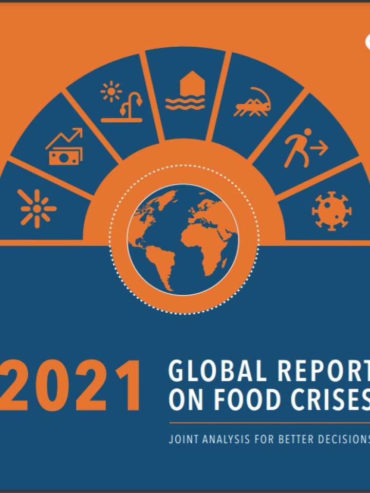 Global Network Against Food Crises Preventionweb